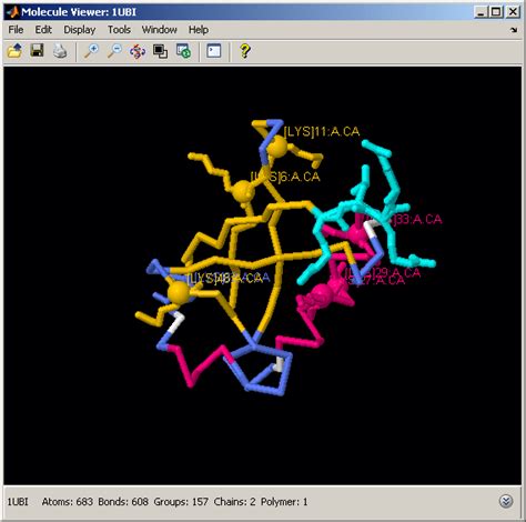 visualizing the three dimensional structure of a molecule matlab