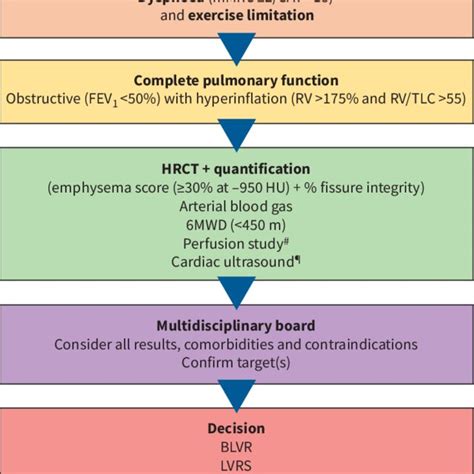 Overview Of The Bronchoscopic Lung Volume Reduction Devices Used In