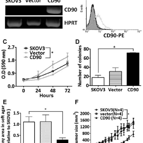 Cd90 Inhibits Tumor Formation In Ovarian Cancer Cells The Expression Download Scientific