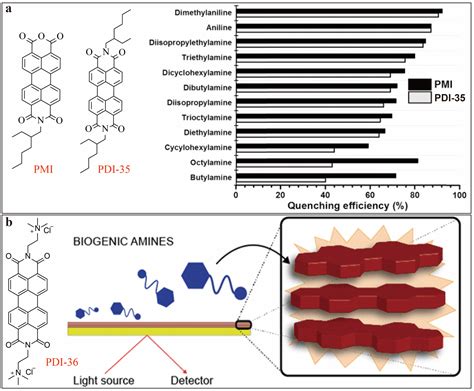 Perylene Diimide Based Fluorescent And Colorimetric Sensors For Environmental Detection