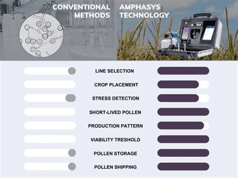 Why Pollen Quality Matters Amphasys Pollen Analysis
