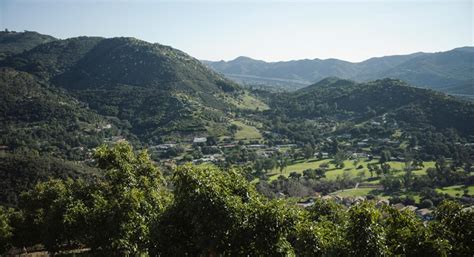 California Avocado Groves Support Healthy Communities California Avocados
