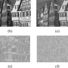 An Example Of NSE A Reference Image In The LIVE Database And D Is Download Scientific
