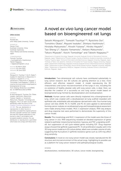 Pdf A Novel Ex Vivo Lung Cancer Model Based On Bioengineered Rat Lungs