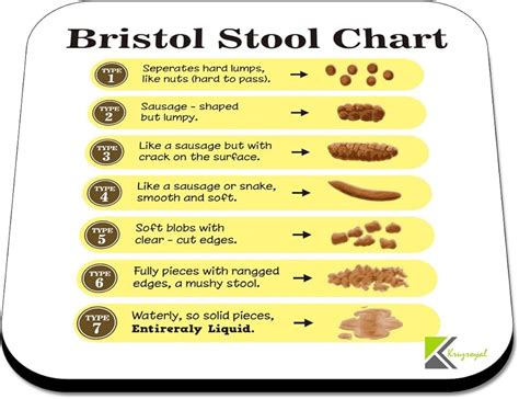Bristol Stool Chart Funny Bristol Bowel Chart Tiktok
