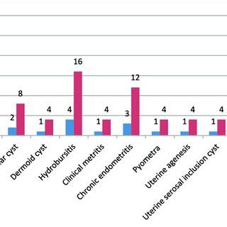 Incidence Of Female Camel Genital Tract Abnormalities Sampled For Download Scientific