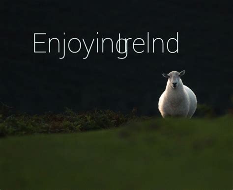 Css Text Alignmargin Leftetc Not Working For My Animated Header