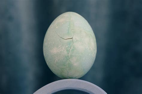 What Is Ovulatory Dysfunction Causes Symptoms Impact Birdandbe