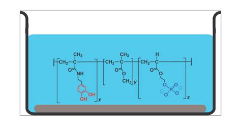 Influences Of Phosphates On The Adhesion Of A Catechol Containing Polymer Acs Applied Polymer