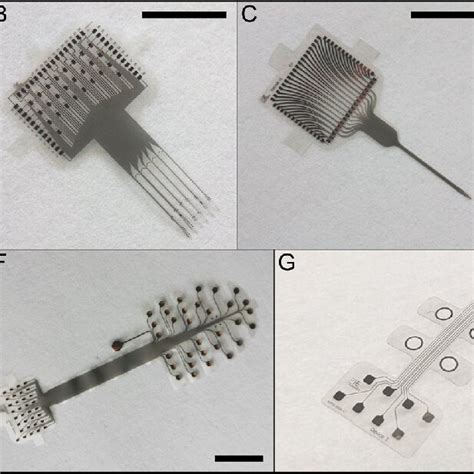 Photographs Of Polymer Microelectrode Arrays Manufactured By The PIE Download Scientific