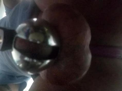 Caged And Plugged Pic