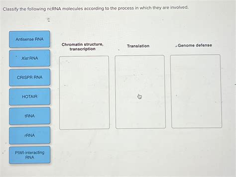 Solved Classify The Following NcRNA Molecules According To Chegg