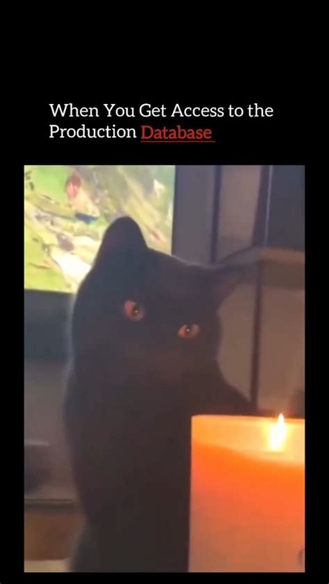 Coding Hub Codinghubb • Instagram Photos And Videos
