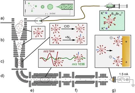 Scheme Of The Experimental Setup And Molecular Processes Occurring At