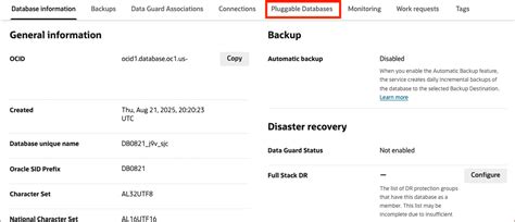 Create Pluggable Database Pdb Snapshots For Oracle Exadata Database Service On Exascale