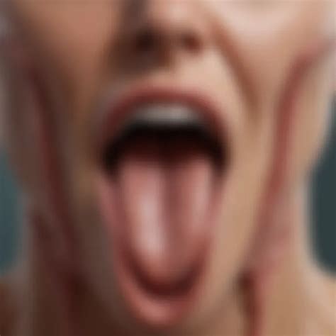 Comprehensive Analysis Of The Clitoris Anatomy And Significance