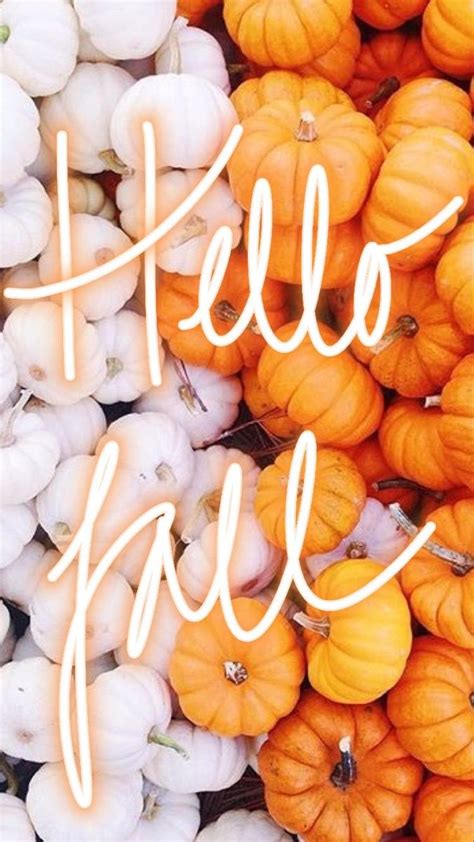 Hello Fall Iphone Wallpaper Fall Fall Wallpaper Fall Backgrounds Iphone