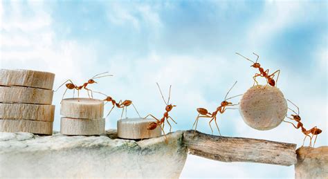 Press Interact Analysis