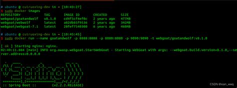 在ubuntu环境下使用docker配置webgoat环境ubuntu Webgoat学习 Csdn博客