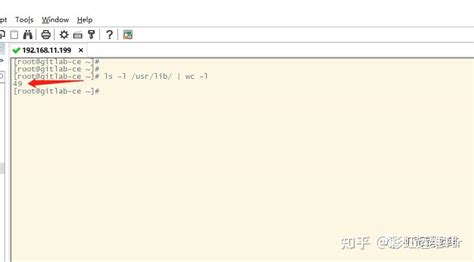 翻车！误删 usr lib 引发的血案，从棺材边成功抢救的过程分享。 知乎