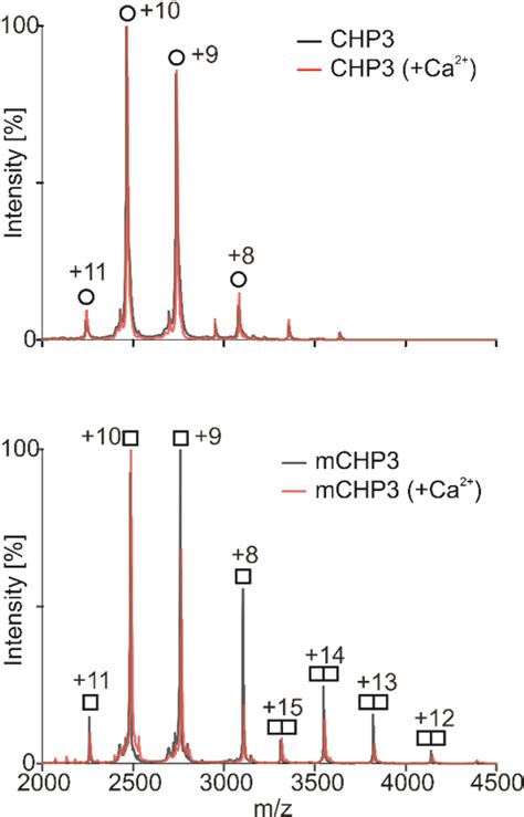 Figure Supplement 2 Non Deconvoluted Mass Spectra Showing Charge State
