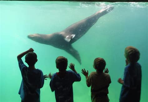 Entering The Realm Of The Lost Kingdom A Conversation With Terrie