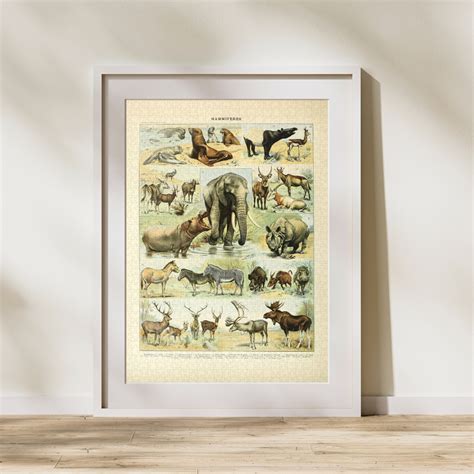 Animal Classification Poster Set Animal Classification