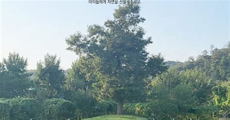 씨티칼리지 플랜테이션 정원 주말 유아 체험 프로그램 재개