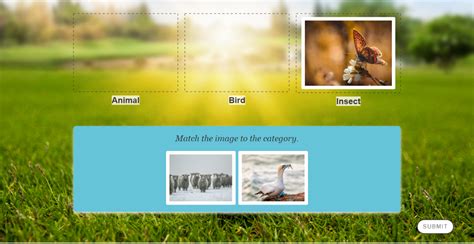 Create Programming Free Interaction With Widget Gallery Elearning