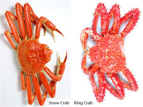 Whats The Difference Between Snow Crab And King Crab Southern Living