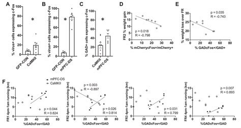 Quantification Of C Fos Gad And Mcherry Reveals Microcircuitry Download Scientific Diagram