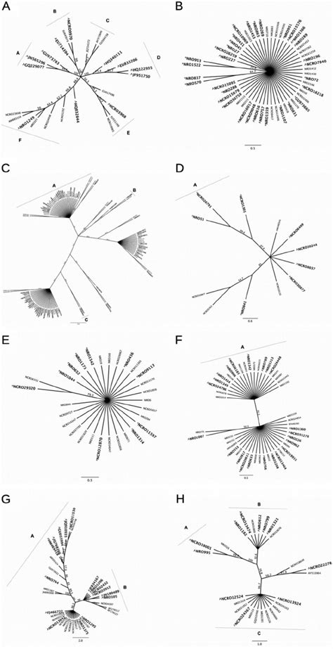 Clustering Of Its Otus Within Genera Shown To Be Significantly Enriched