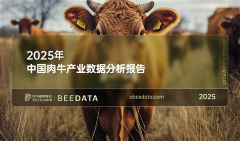 《农小蜂：2025年中国肉牛产业数据分析报告》 农小蜂