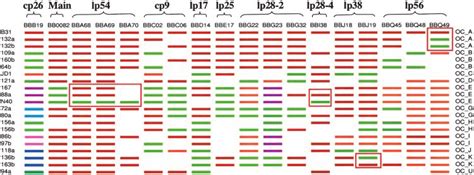 Multilocus Sequence Types Of The Three Genomes And 18 Clinical