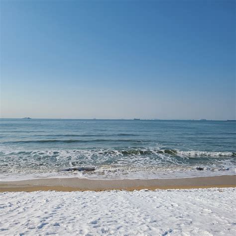 성격 형성에 영향을 주는 요인은 유전vs환경