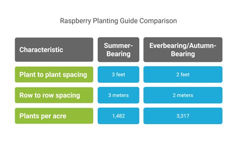 Raspberry Farming Profit Per Acre