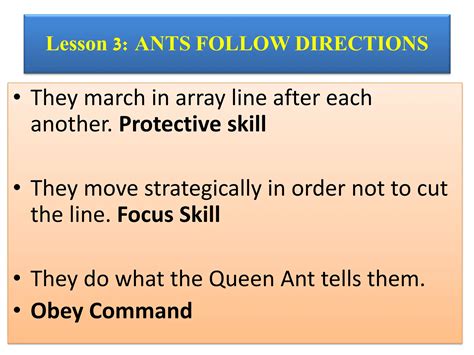 Ant Strategies For Personal Growth And Organization Pdf Beekeeping