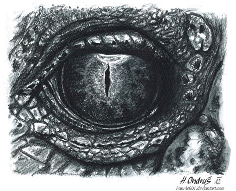 Crocodile Eye Drawing