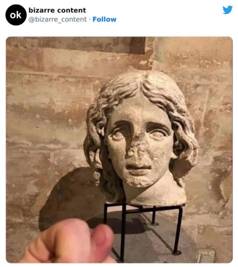 Bizarre Content That You Didnt Know You Needed Until Now