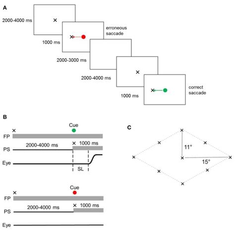 A Schematic Representation Of The Go NoGo Task Sample Trials The Download Scientific