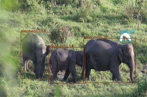 António Rodrigues On Linkedin Simple Use Of Ultralytics Yolov8 For Object Detection You Can