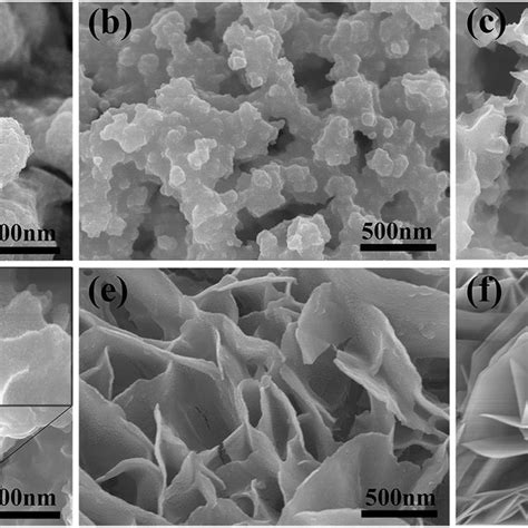 Sem Images Showing The Morphologies Of A Fe Co 1 0 B Fe Co 2 1 C