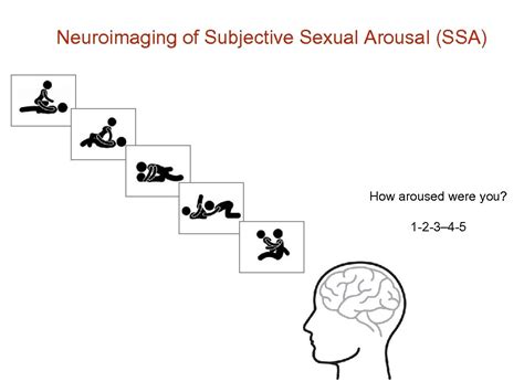 Neural Representation Of Subjective Sexual Arousal In Men