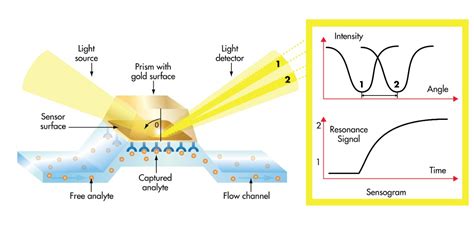 Surface Plasmon Resonance Bruker