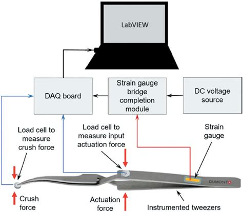 Schematic Of The Experimental Setup Used For Measurement Of Forces And