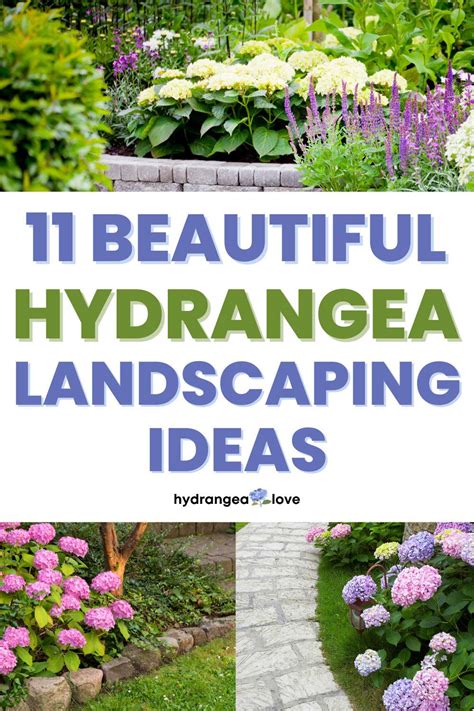 11 Beautiful Hydrangea Landscaping Ideas Hydrangea Love