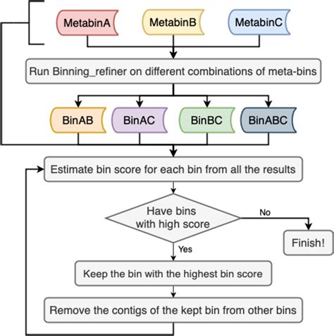 The Ensemble Strategy Workflow The Second Stage Binab Denotes The Download Scientific