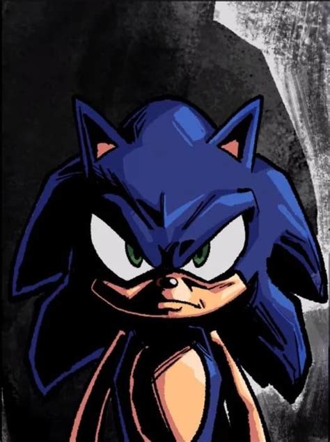 Amy Rose Art By Brachyartz Rsonicthehedgehog