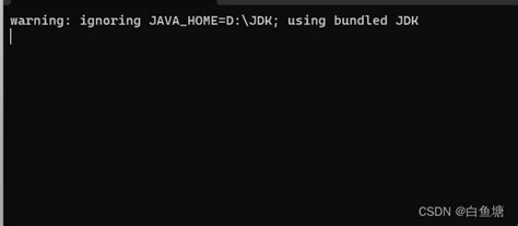 Warning Ignoring Javahomedjdk； Using Bundled Jdk报错解决 Csdn博客