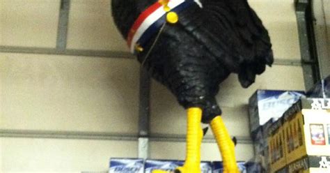 Rooster Imgur Rooster Imgur